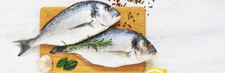 Iznimno zdrava i svježa bijela morska riba - Metro Hrvatska