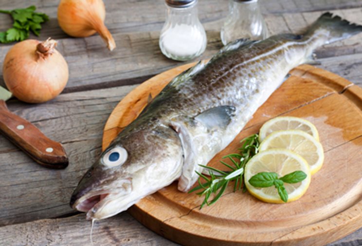 Iznimno zdrava i svježa bijela morska riba - Metro Hrvatska