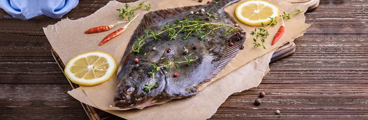 Iznimno zdrava i svježa bijela morska riba - Metro Hrvatska